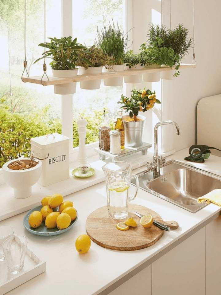 ¿Quieres tener un mini huerto en casa? – Decoresty